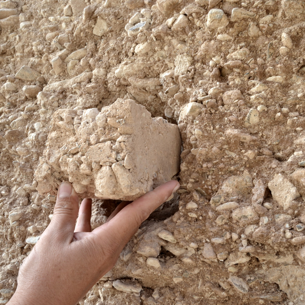 PROJECTS - Fetdeterra