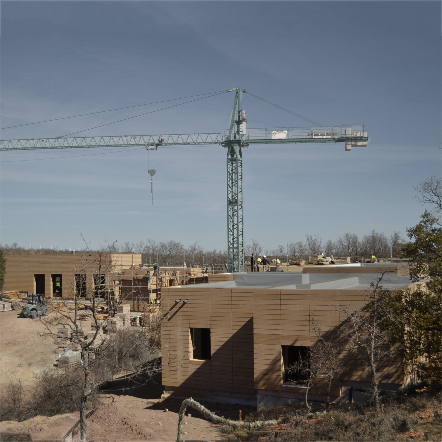 PROYECTOS - Fetdeterra