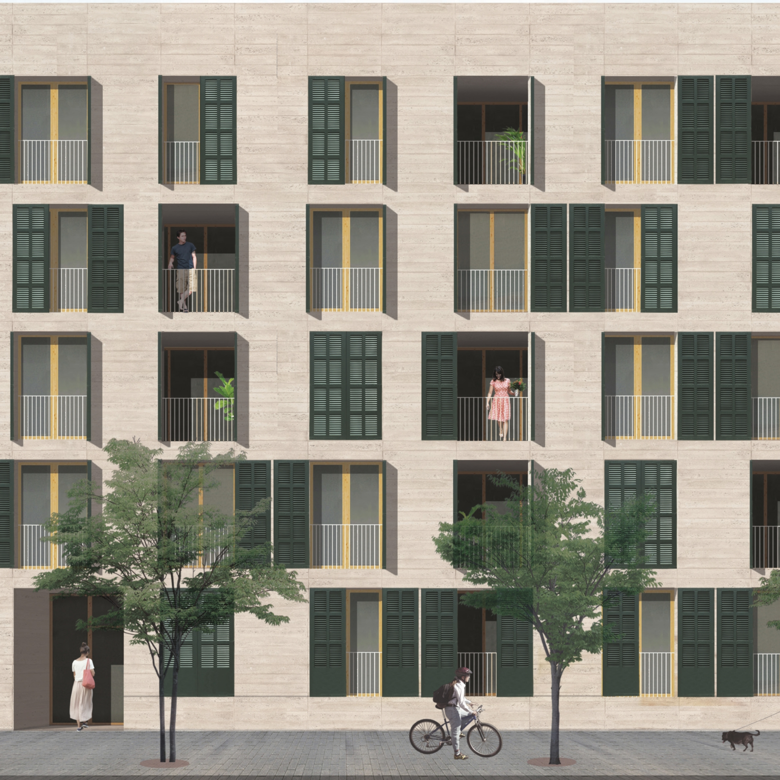 PROYECTOS - Fetdeterra