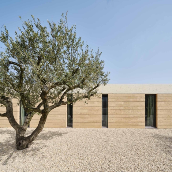 PROYECTOS - Fetdeterra